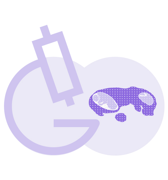 时空转录组+H&E染色_时空组学试剂_时空组学产品_STOmics - 华大时空