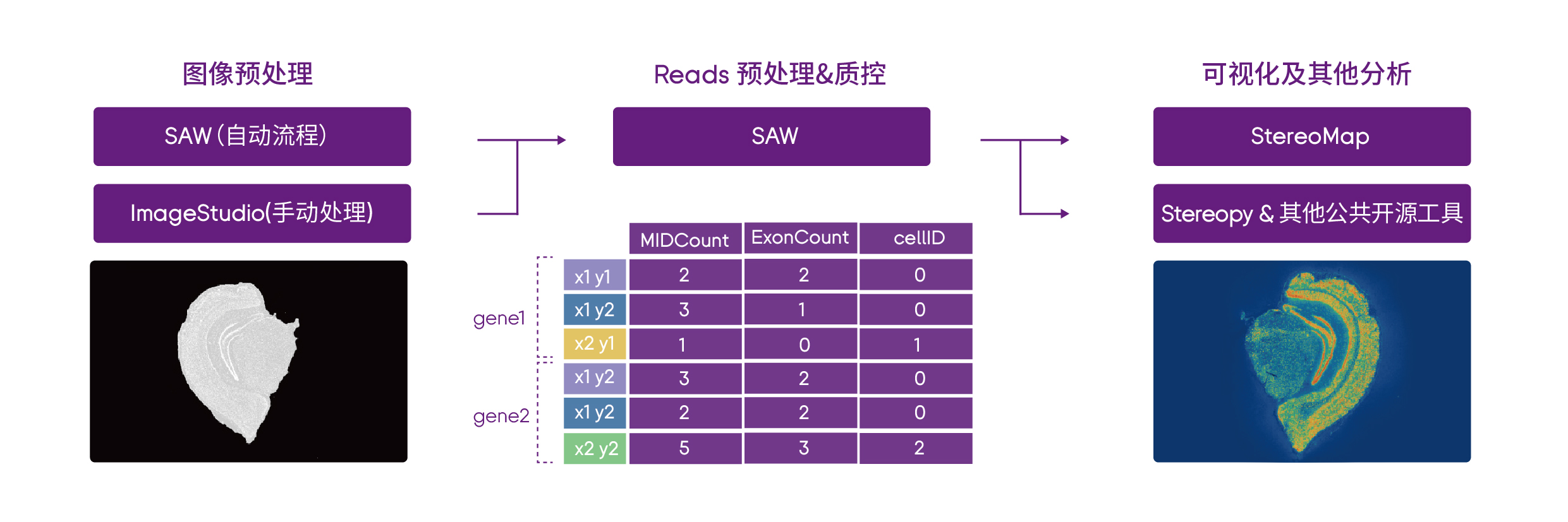 线下分析工具 - 华大时空