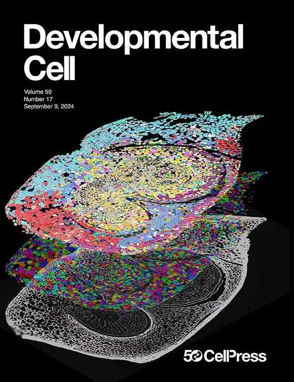 Developmental Cell封面 | Stereo-seq助力绘制水稻种胚单细胞分辨率空间转录组图谱 - 华大时空