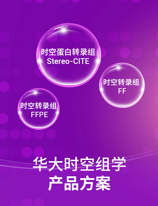 时空转录组大尺寸芯片 - 华大时空