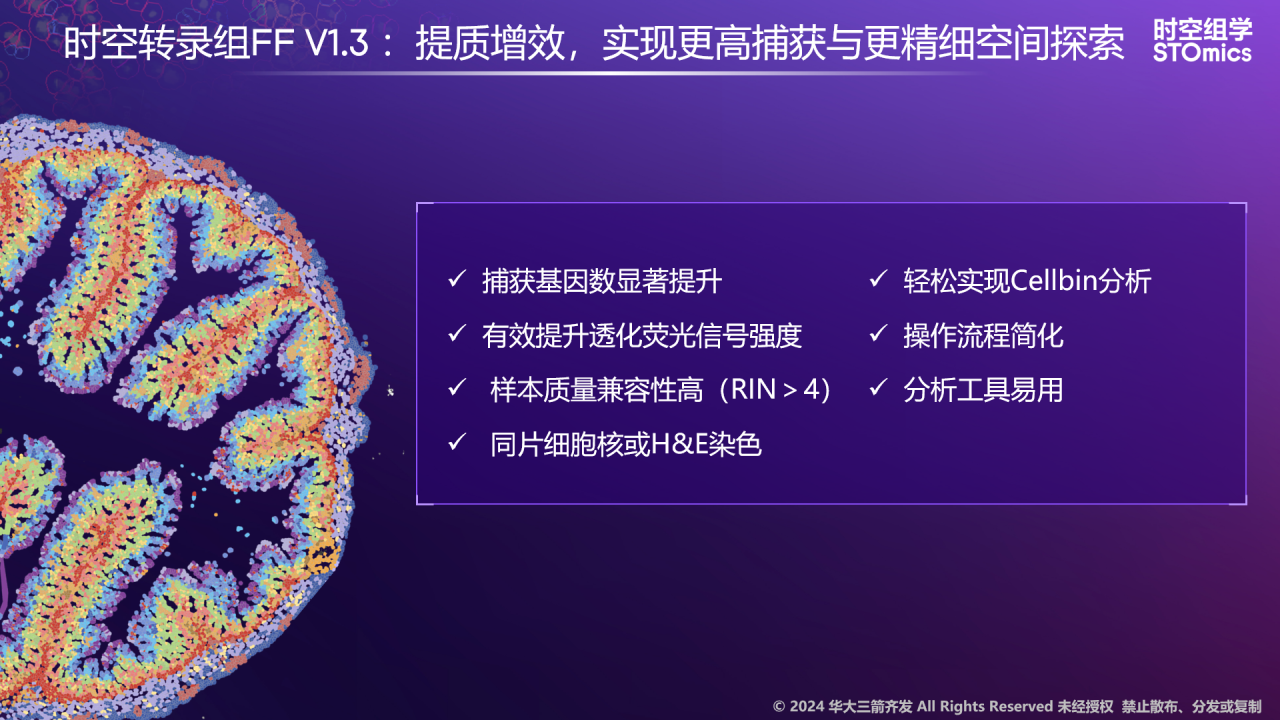 正式发布 | 时空转录组FF V1.3：提质增效，实现更高捕获与更精细空间探索 - 华大时空