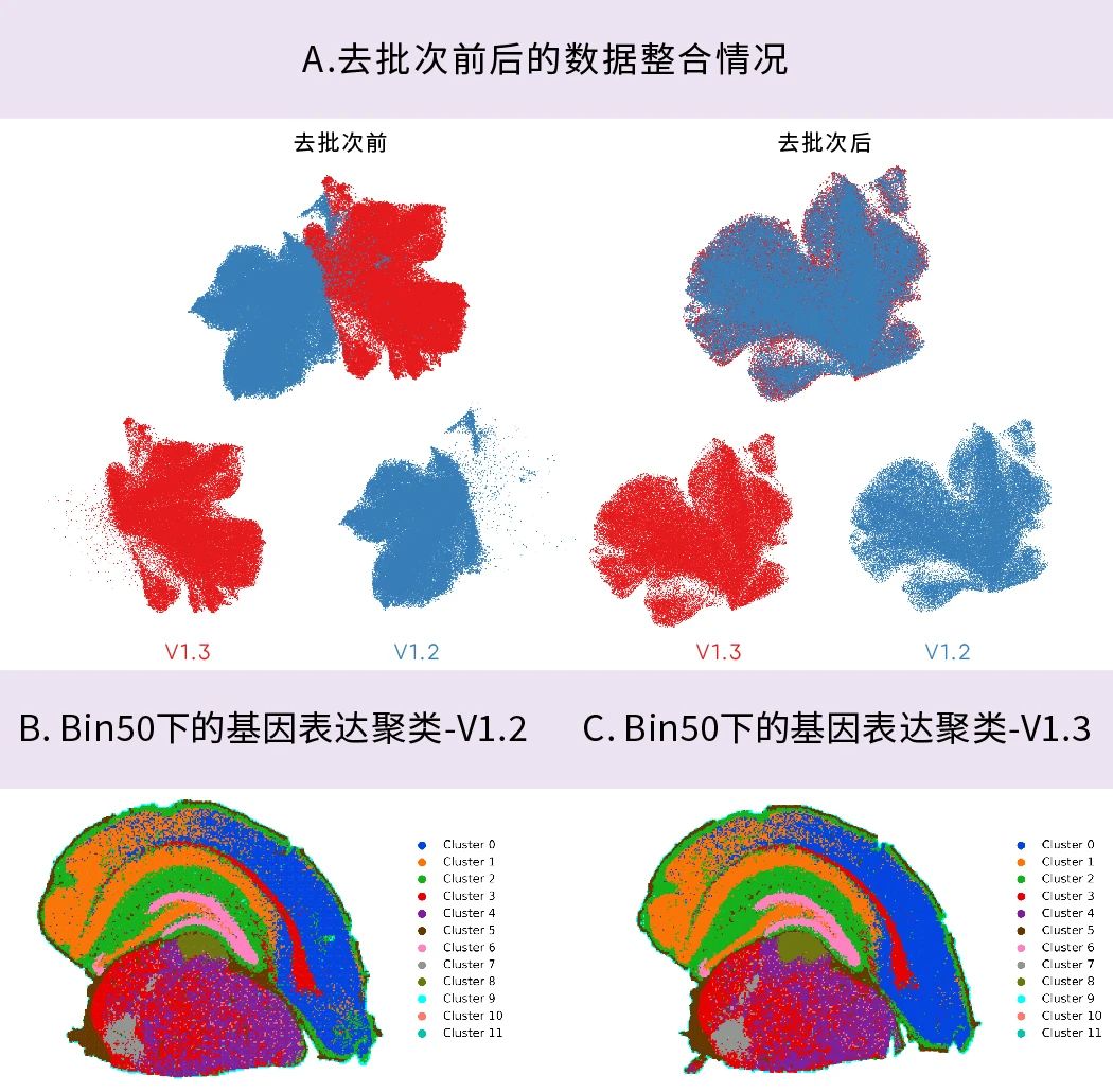 时空转录组FF升级大揭秘，助您实现无忧切换 - 华大时空