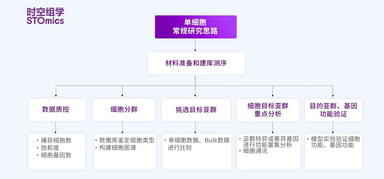 思路解析 | 细胞组学+时空组学助力脑科学研究 - 华大时空