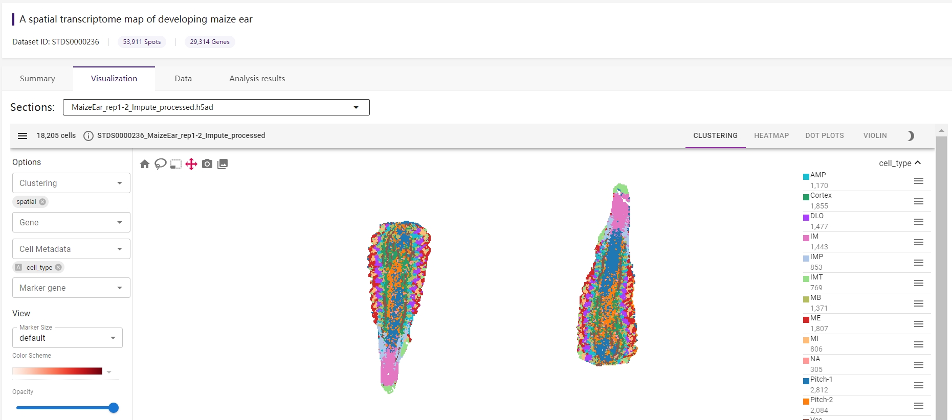 时空组学数据库_时空组学资源_STOmics - 华大时空