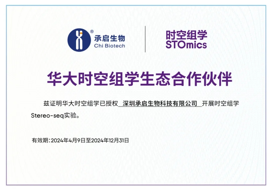 战略合作 | 承启生物成为华大时空组学STOmics生态合作伙伴 - 华大时空