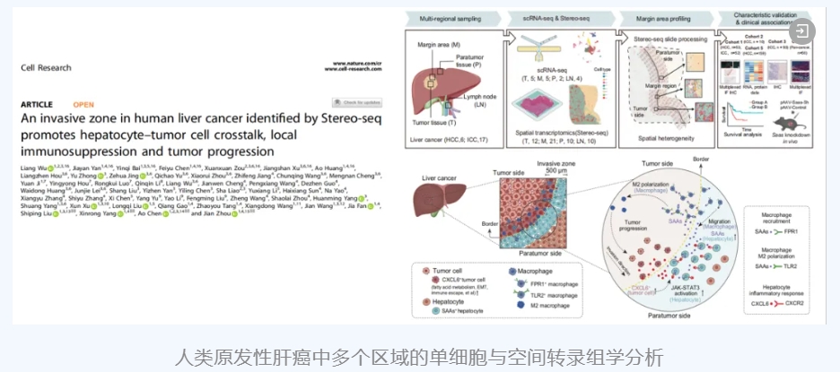 应用领域篇 | 文章大爆发！Stereo-seq助力80余篇高水平科研成果发表 - 华大时空