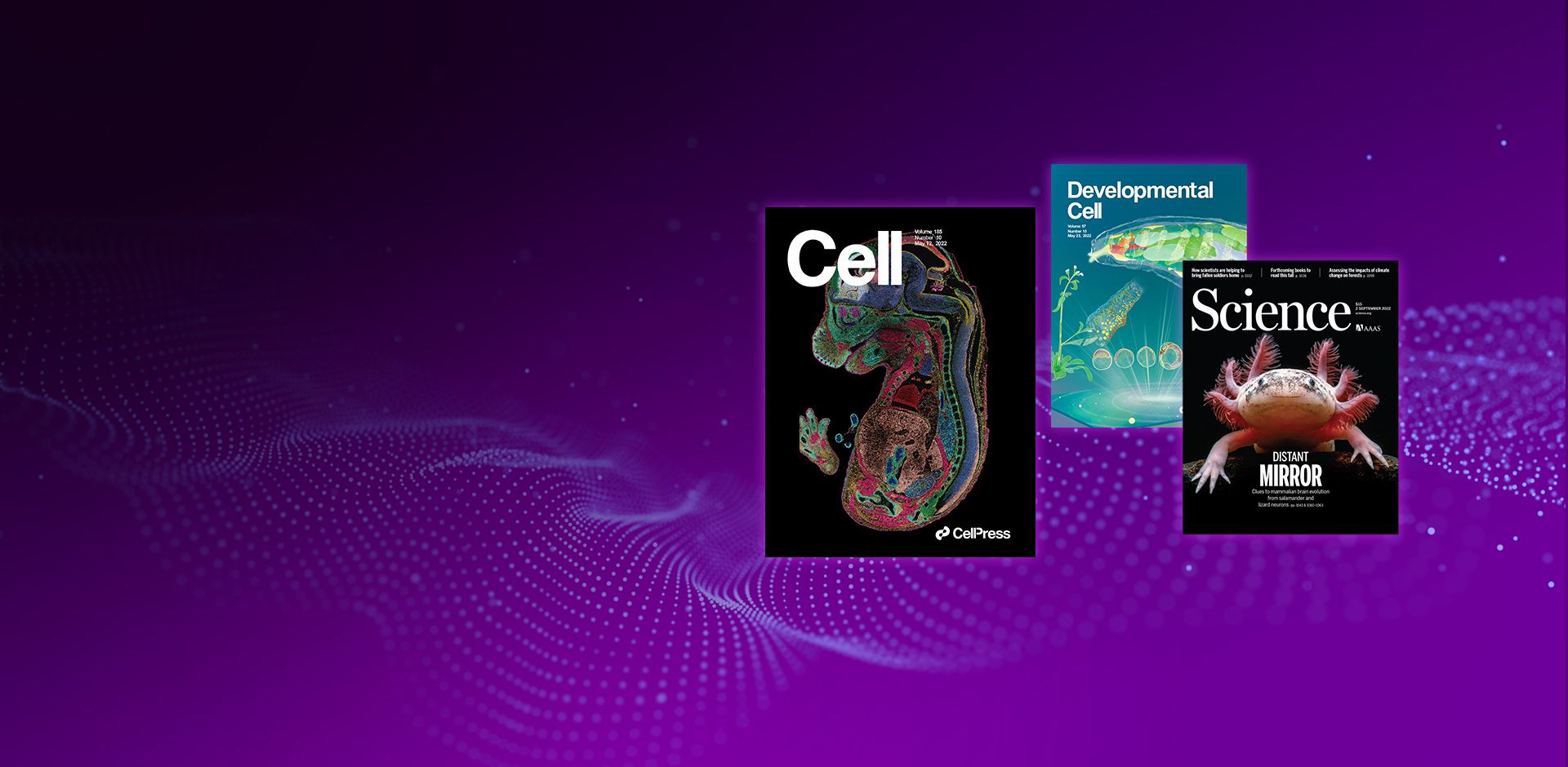 华大时空组学_时空官网_Stereo-seq_STOmics