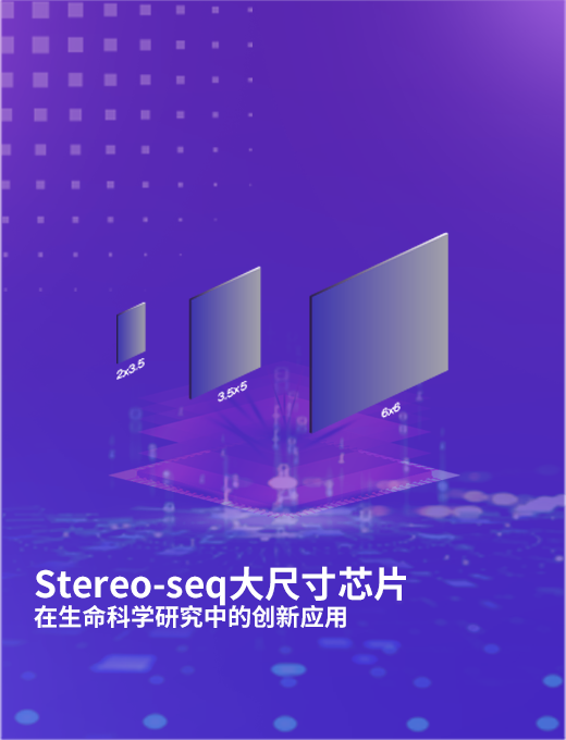 时空转录组大尺寸芯片解决方案 - 华大时空