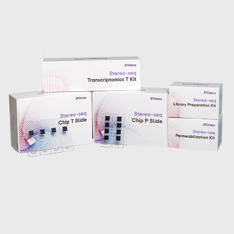STOmics Stereo-seq